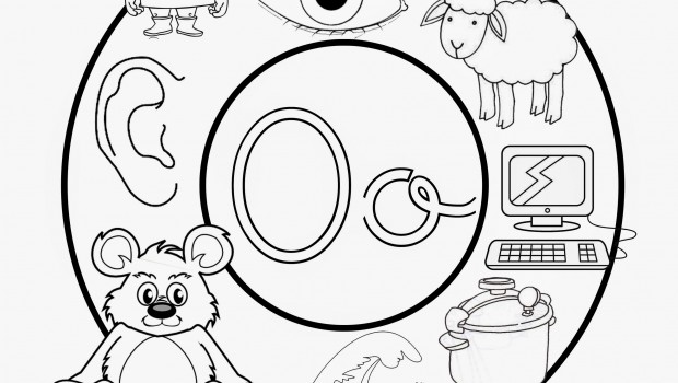 O - Orientación Andújar - Recursos Educativos