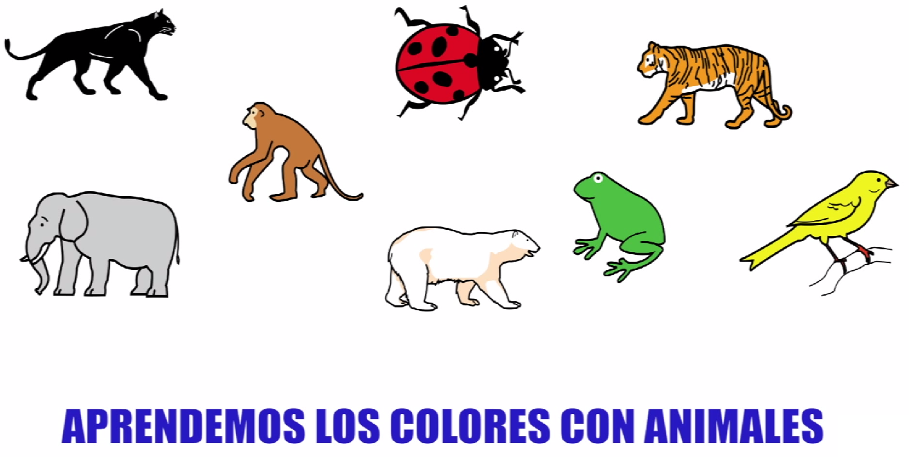aprendemos lo colores con animales - Orientación Andújar - Recursos ...