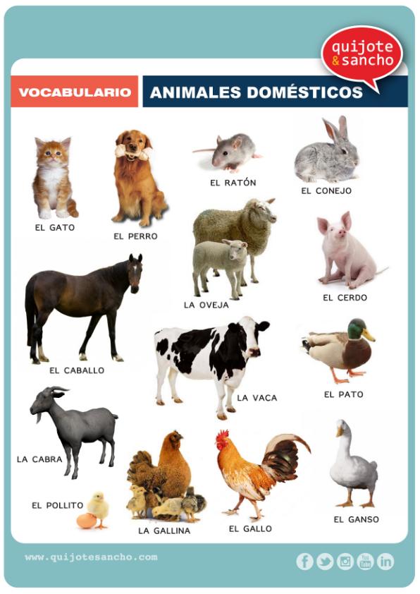 Láminas para trabajar el vocabulario campo semántico animales ...