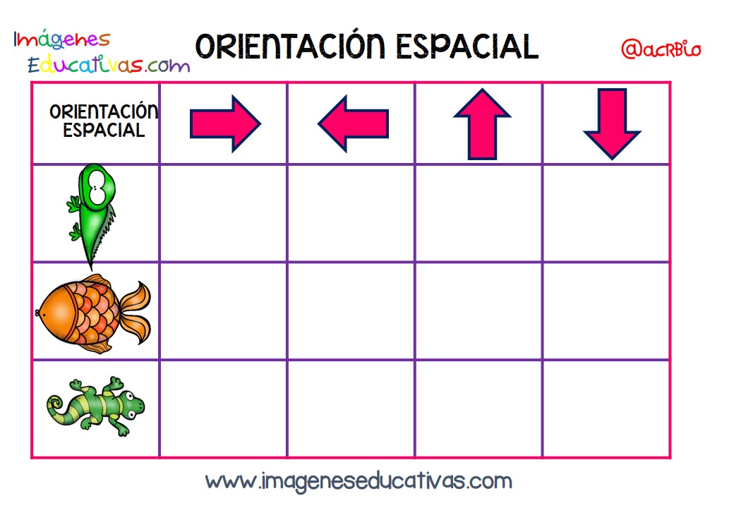 Trabajamos-la-orientación-espacial-en-los-niños-2 - Orientación Andújar ...