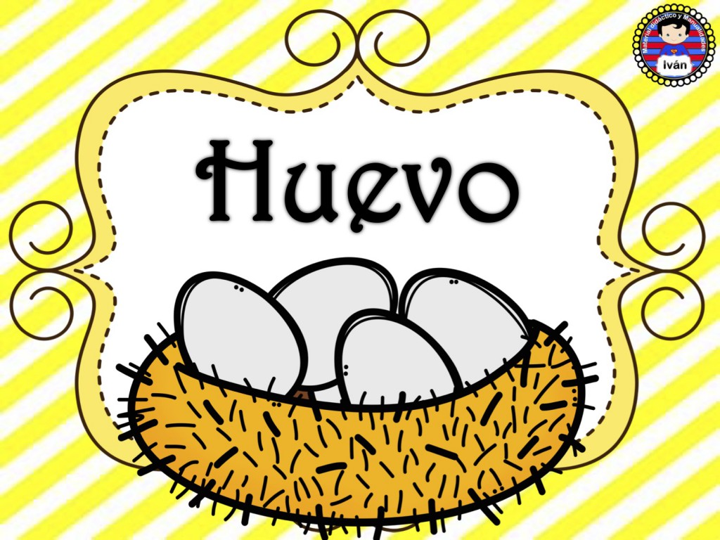 Ciclo de la vida de las Gallinas -Orientacion Andujar