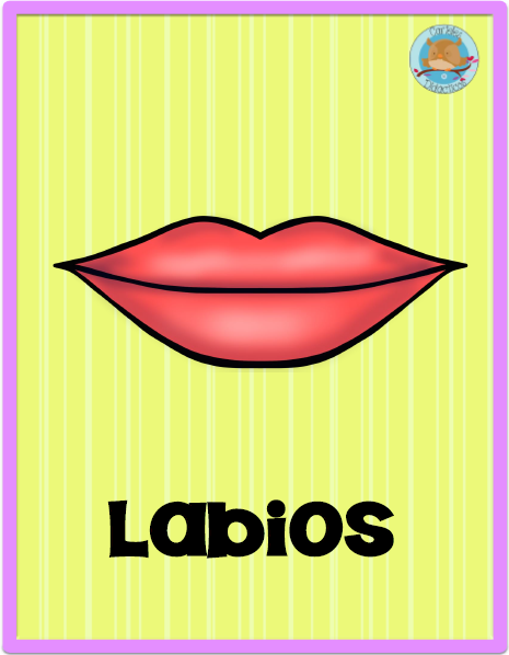 MY BODY PARTES DEL CUERPO en láminas (7) - Orientación Andújar ...