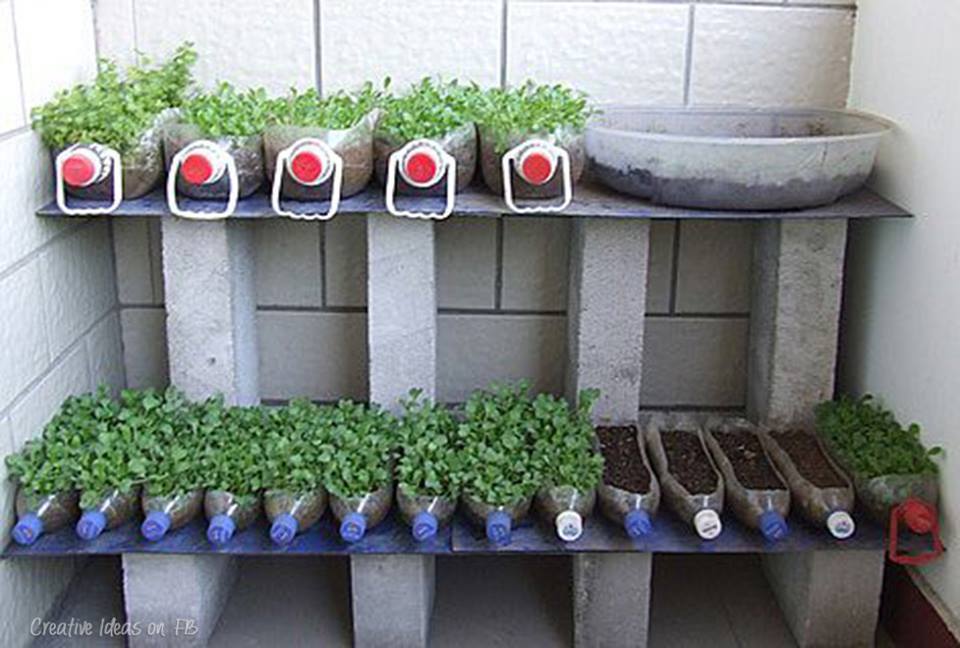 Guía Para Hacer Tu Propio Huerto Escolar Ecológico Y Muchas Ideas En