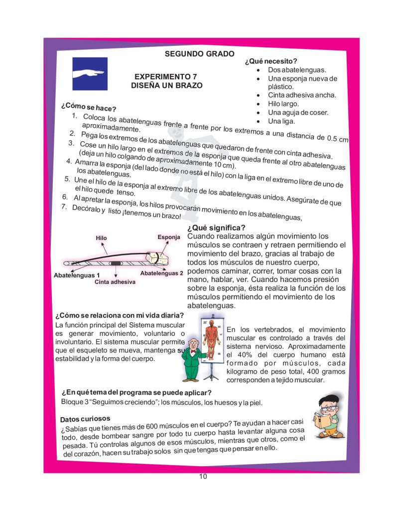 Manual de 50 experimentos para todos los cursos de primaria la ciencia ...