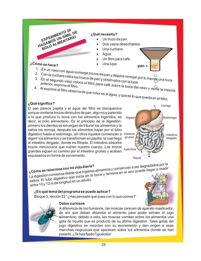 Manual de 50 experimentos para todos los cursos de primaria la ciencia ...