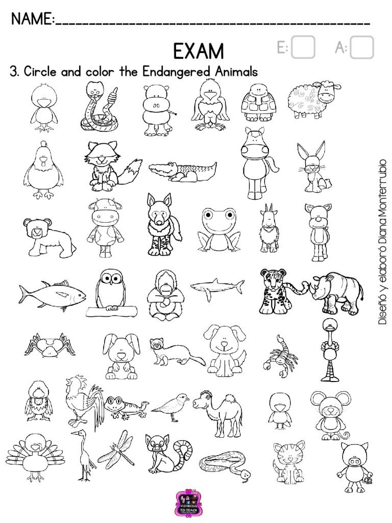 Fichas para trabajar inglés en infantil -Orientacion Andujar