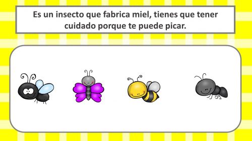 INFERENCIAS VISUALES ADIVINA A TRAVÉS DE LAS PISTAS DE QUÉ SE TRATA ...