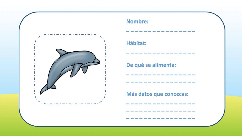 Mi librito de animales -Orientacion Andujar