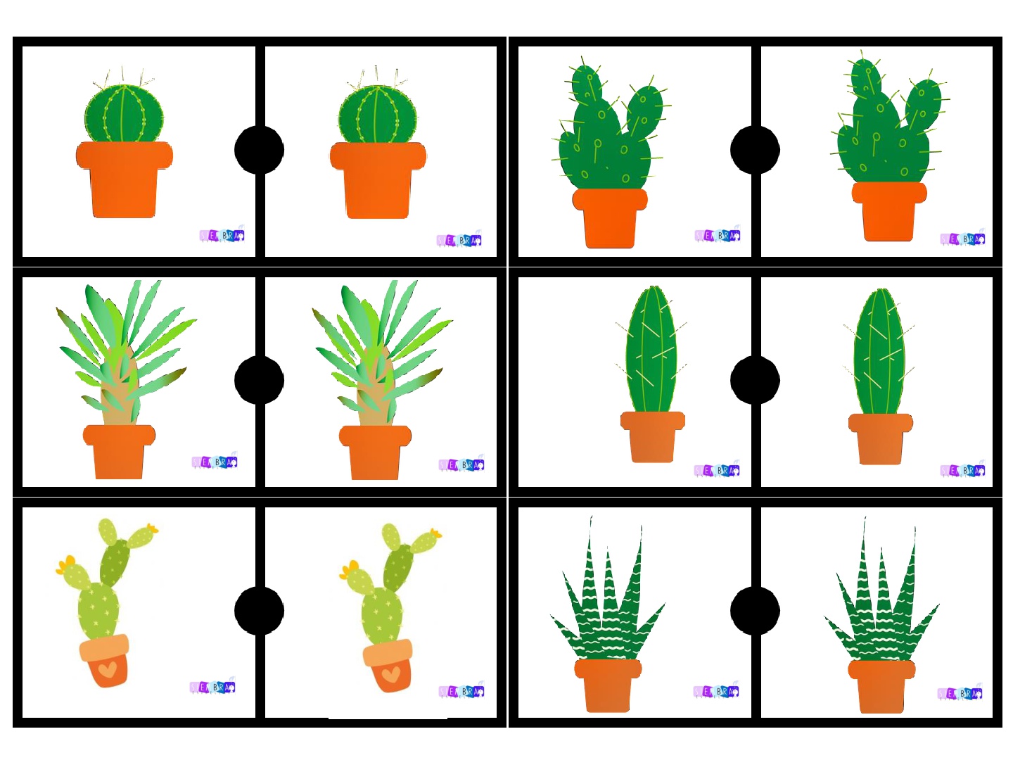 ATENCIÓN, MEMORIA... Y MÁS con estos divertidos cactus -Orientacion Andujar