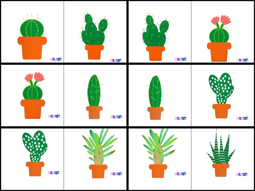 ATENCIÓN, MEMORIA... Y MÁS con estos divertidos cactus -Orientacion Andujar