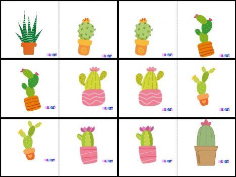 ATENCIÓN, MEMORIA... Y MÁS con estos divertidos cactus -Orientacion Andujar