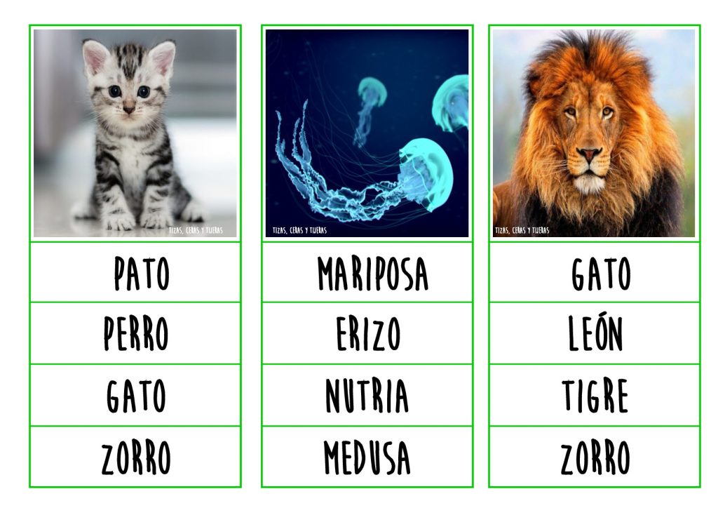 Actividades de lectoescritura para trabajar la identificación de ...