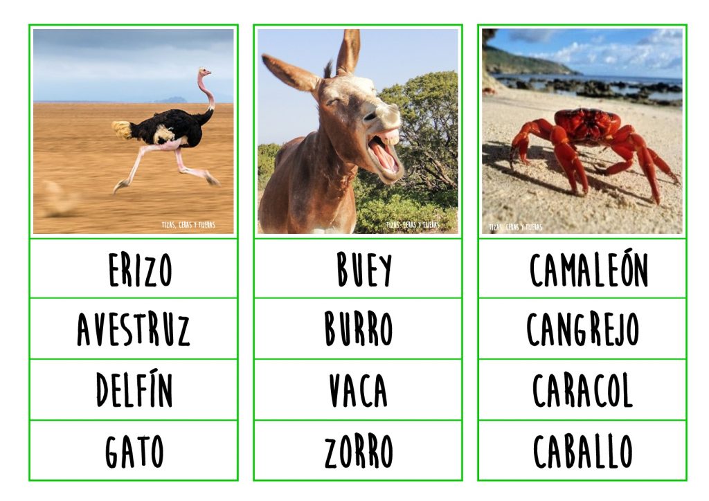 Actividades de lectoescritura para trabajar la identificación de ...