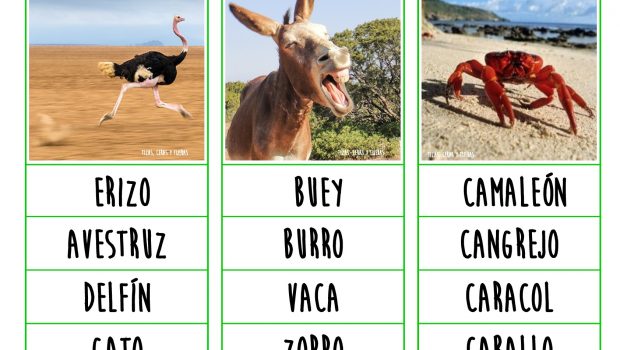 Animales-lectoescritura-002 - Orientación Andújar - Recursos Educativos