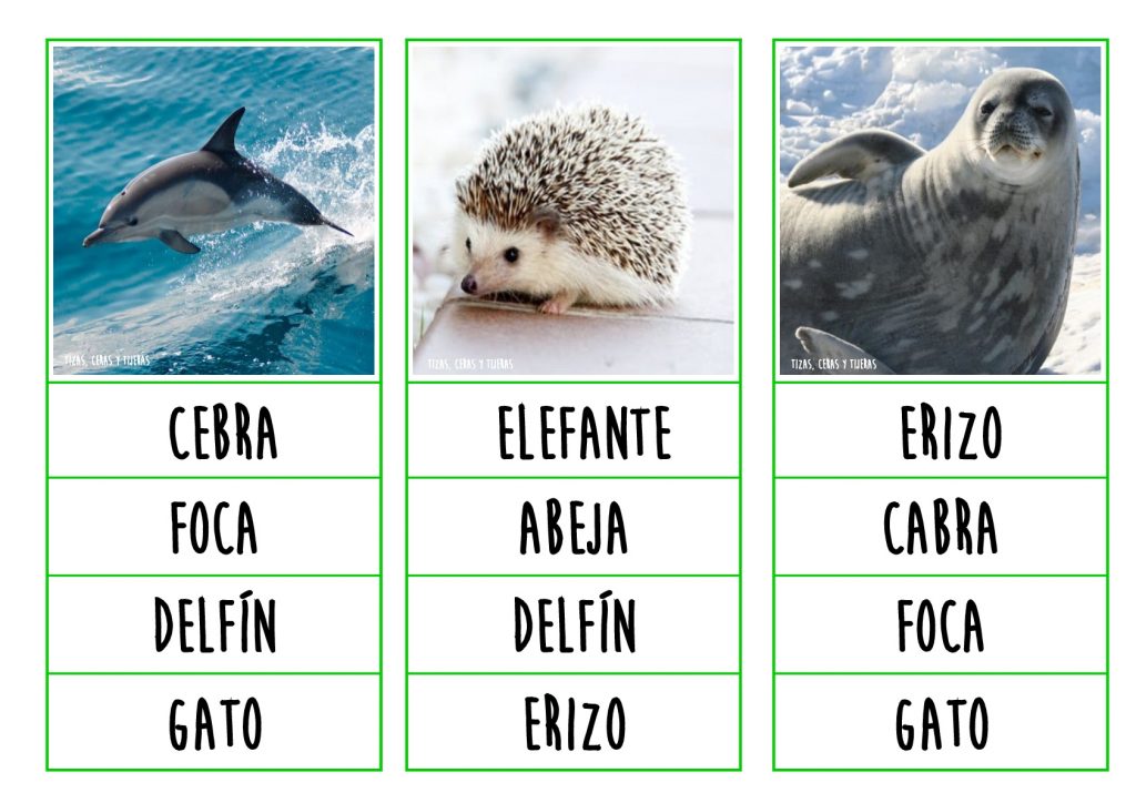 Actividades de lectoescritura para trabajar la identificación de ...