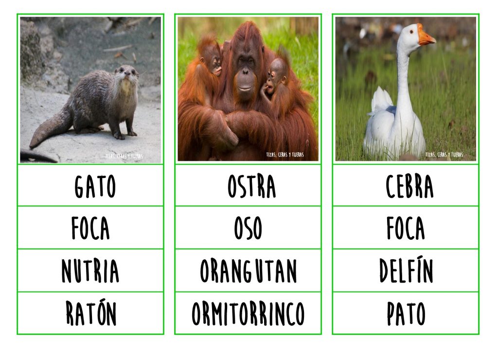 Actividades de lectoescritura para trabajar la identificación de ...