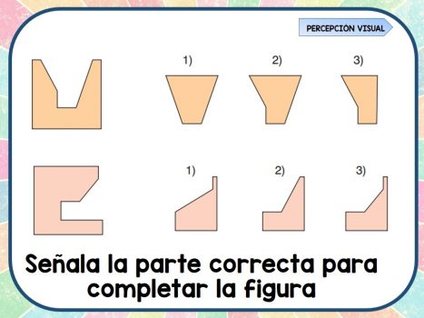 Completo cuaderno de percepción visual -Orientacion Andujar