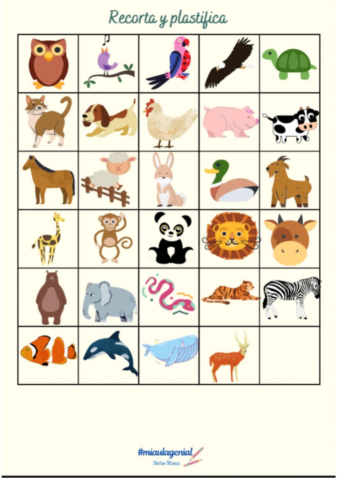 Cuaderno de animales -Orientacion Andujar