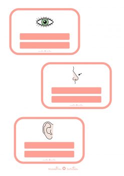 Tarjetas de vocabulario -Orientacion Andujar