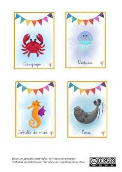 FLASCARD TARJETAS DE Animales Acuáticos - Orientacion Andujar