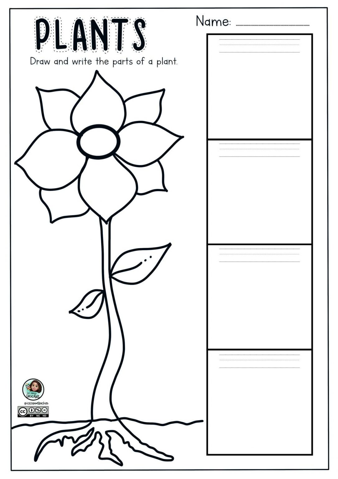 Las plantas foldables, recortes o para colorear -Orientacion Andujar