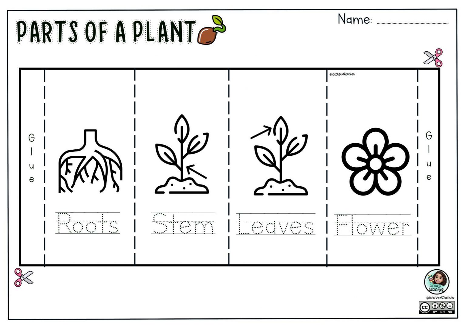 Las plantas foldables, recortes o para colorear -Orientacion Andujar