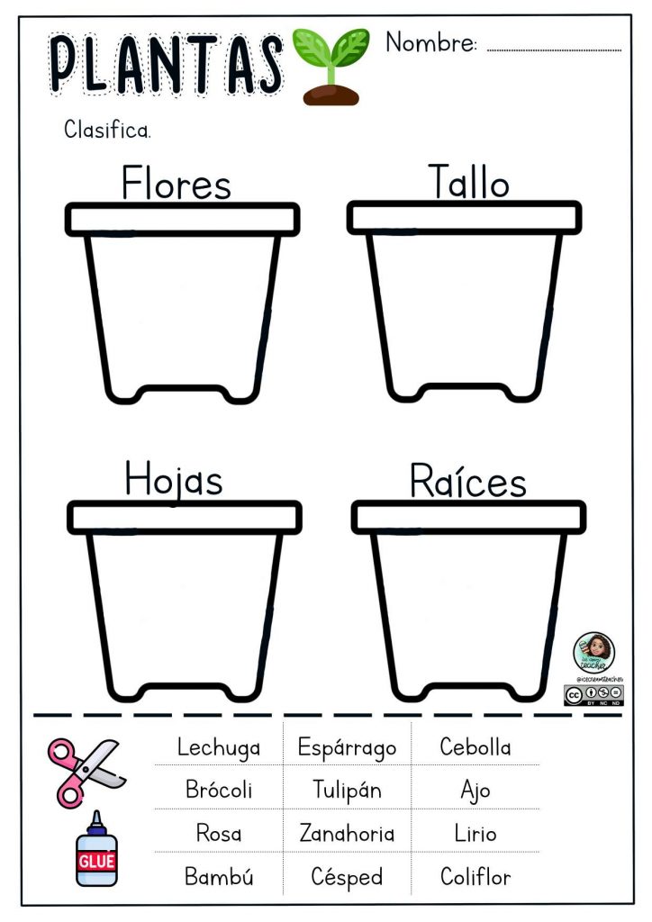 Las plantas foldables, recortes o para colorear -Orientacion Andujar
