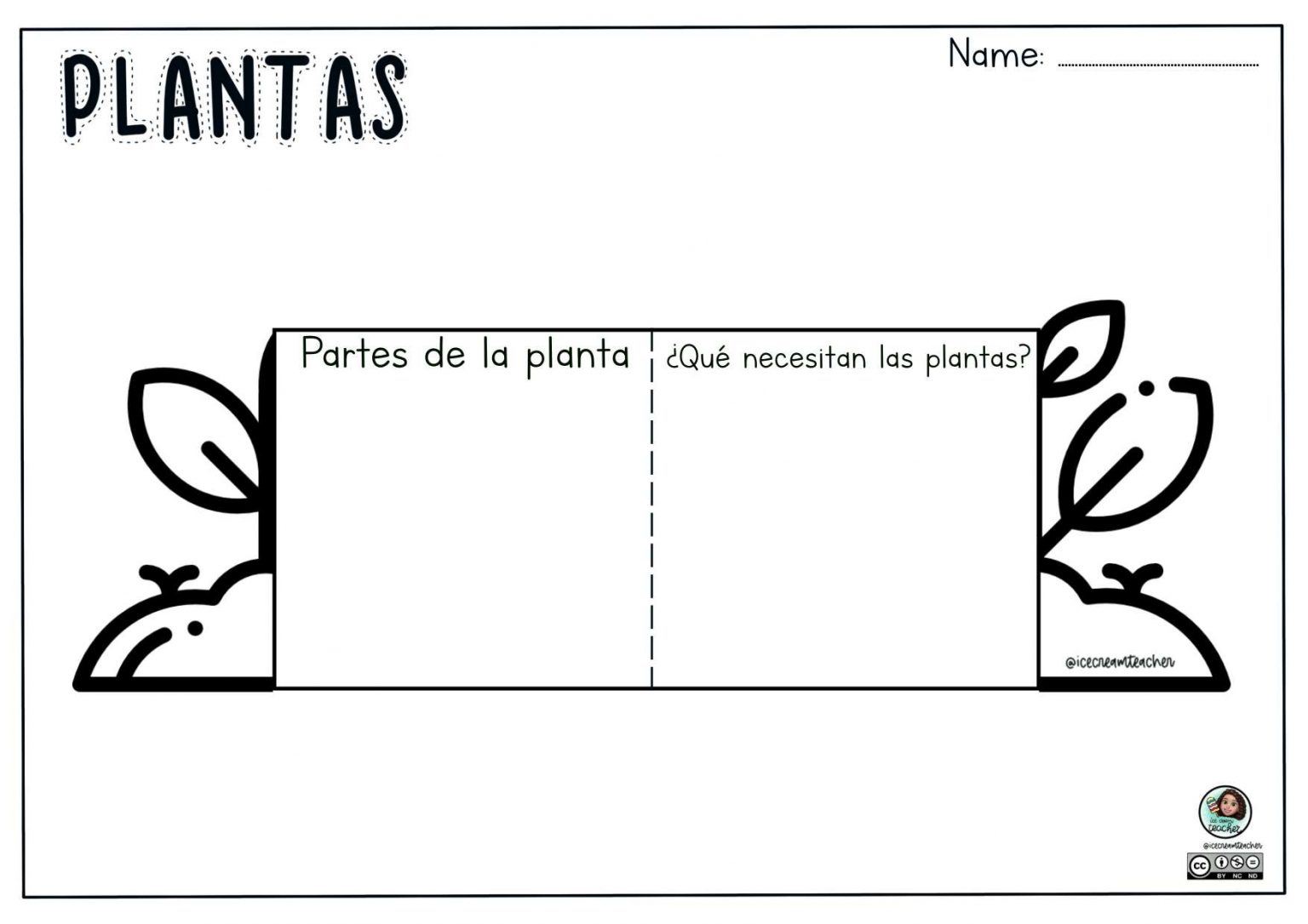 Las plantas foldables, recortes o para colorear -Orientacion Andujar