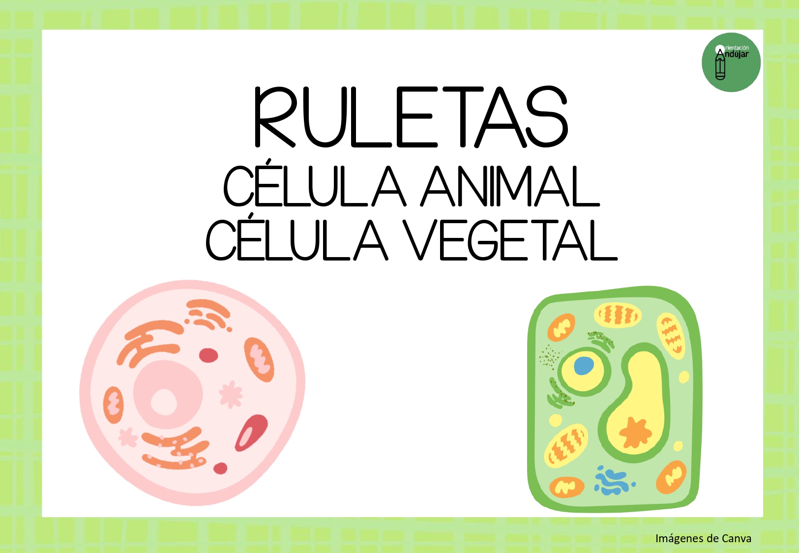 Recurso didáctico ilustrativo: Aprendemos las partes de la célula ...