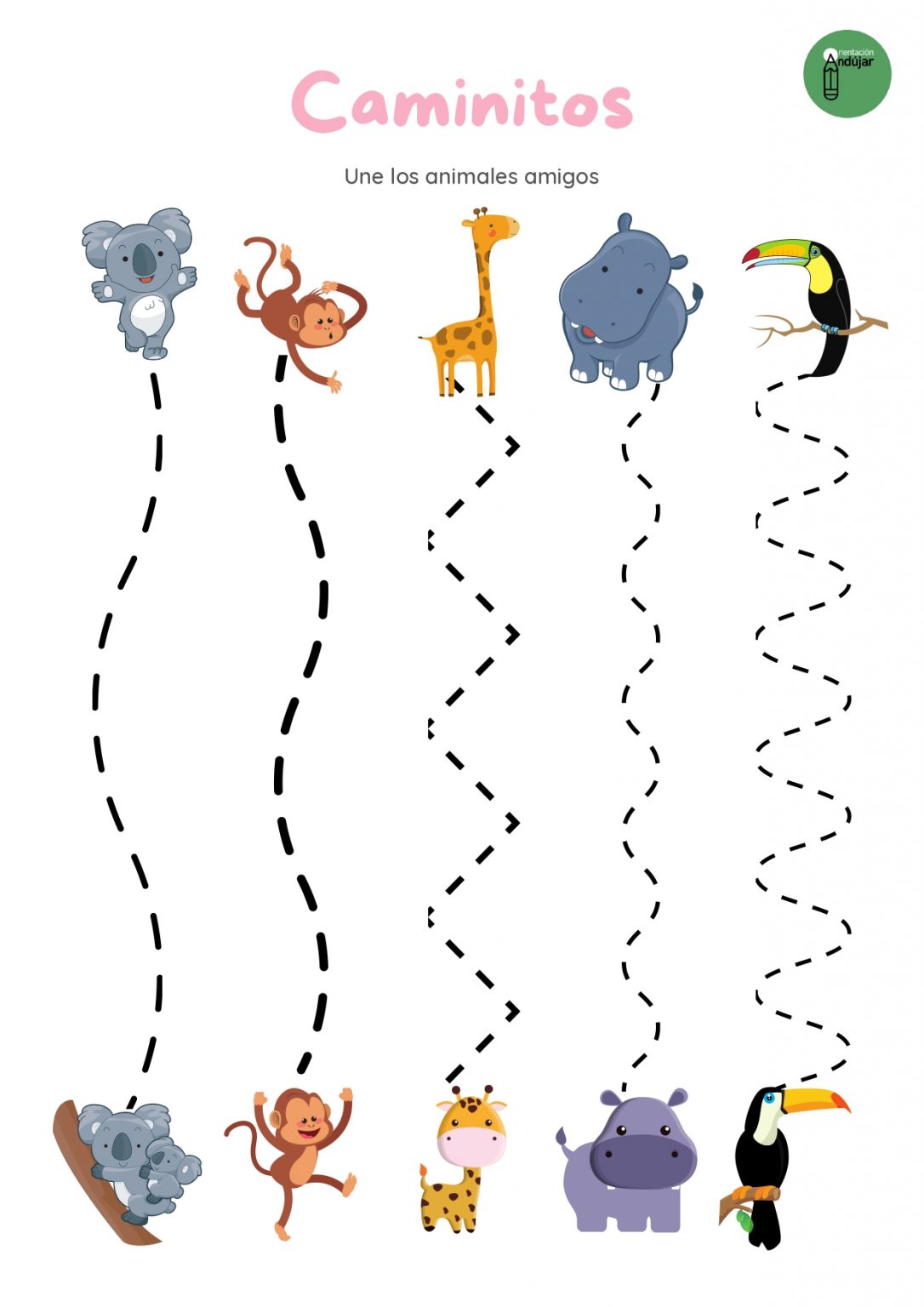 Mi cuadernito de actividades sobre animales para Infantil y Preescolar ...