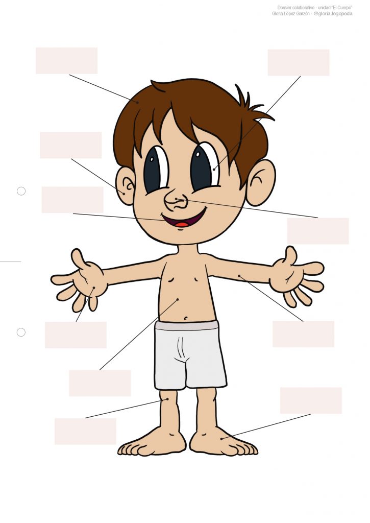 Mi librito manipulativo: El cuerpo humano y los sentidos - Orientacion ...