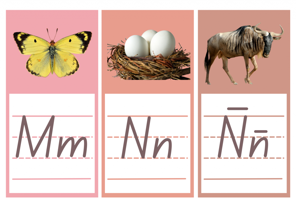 Preciosas tarjetas abecedario: imágenes reales - Orientacion Andujar