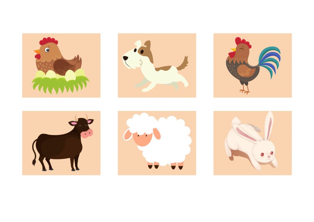 Veo veo en la granja: Primeras lecturas - Orientacion Andujar