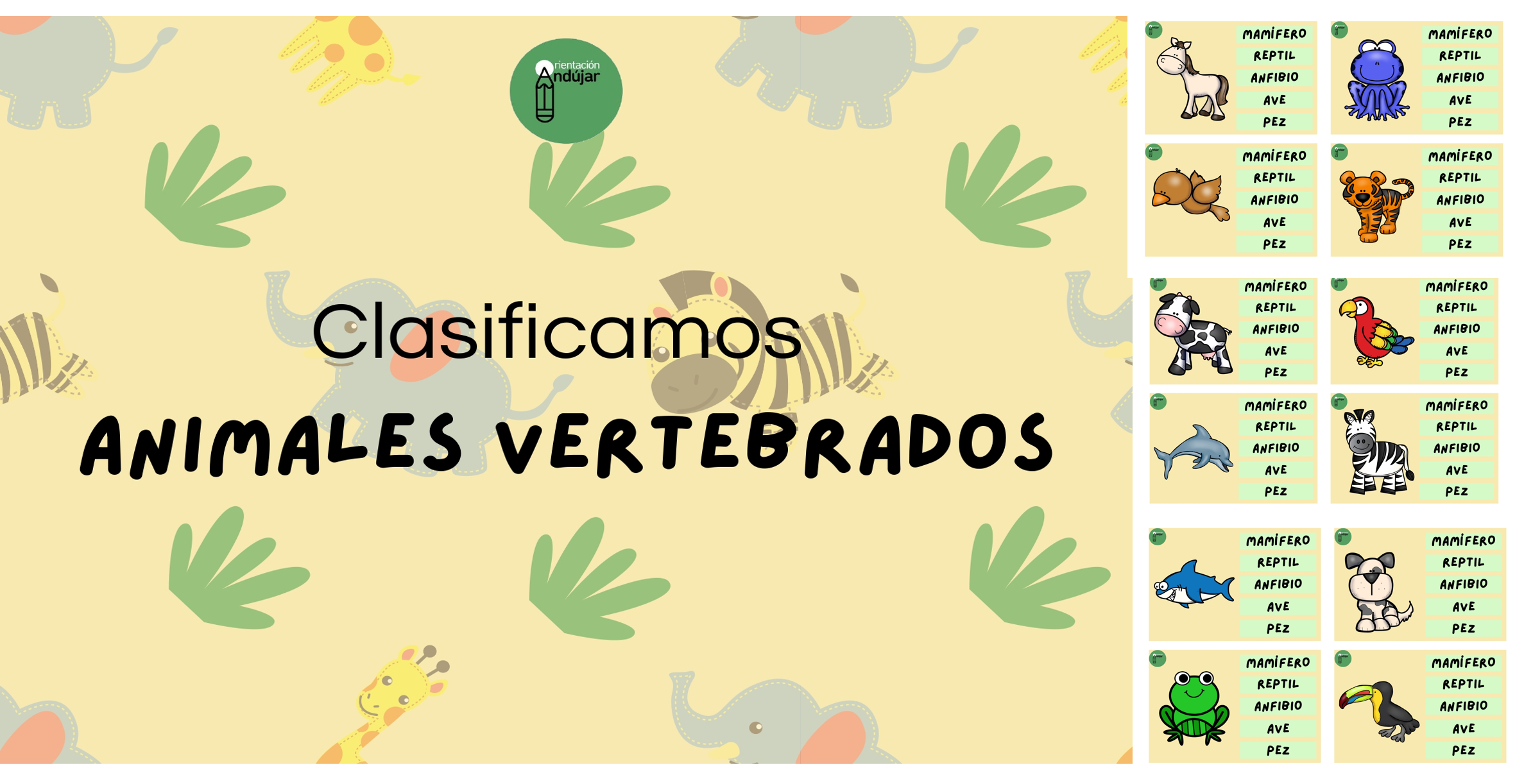 Clasificamos animales vertebrados - Orientacion Andujar