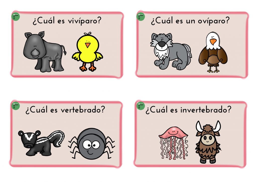 Comprensión lectora de preguntas sencillas ¿Cuánto sabes acerca de los ...