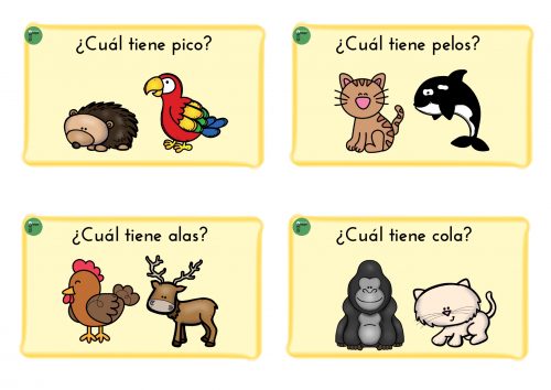 Comprensión lectora de preguntas sencillas ¿Cuánto sabes acerca de los ...