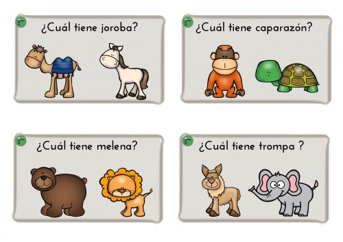 Comprensión lectora de preguntas sencillas ¿Cuánto sabes acerca de los ...