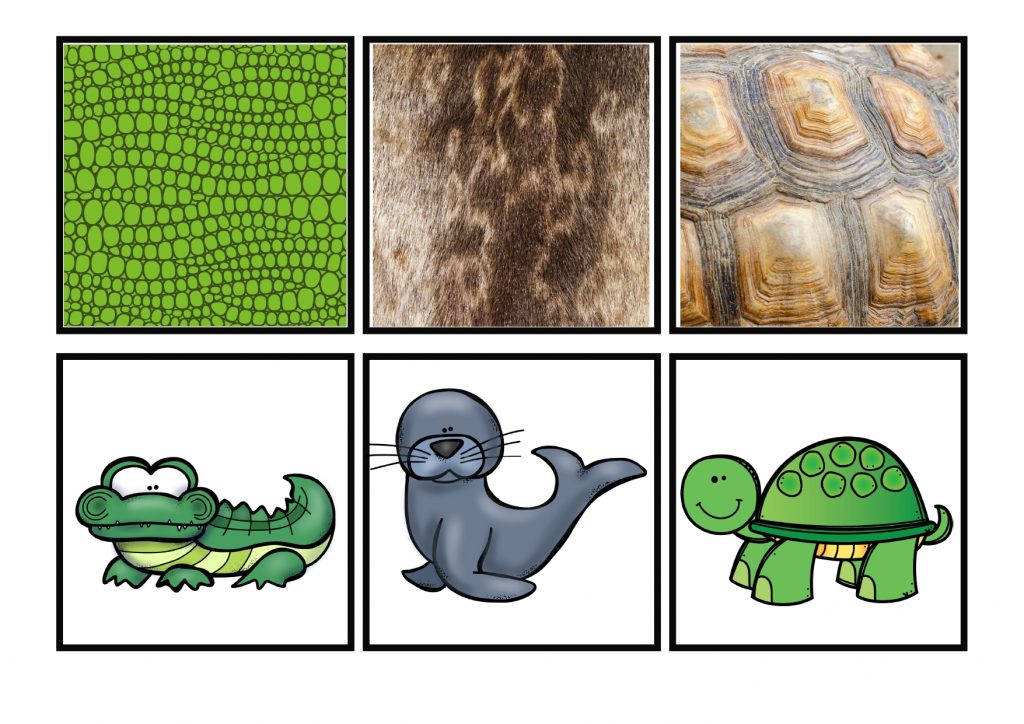 Divertido memory: Animales y sus pieles - Orientacion Andujar