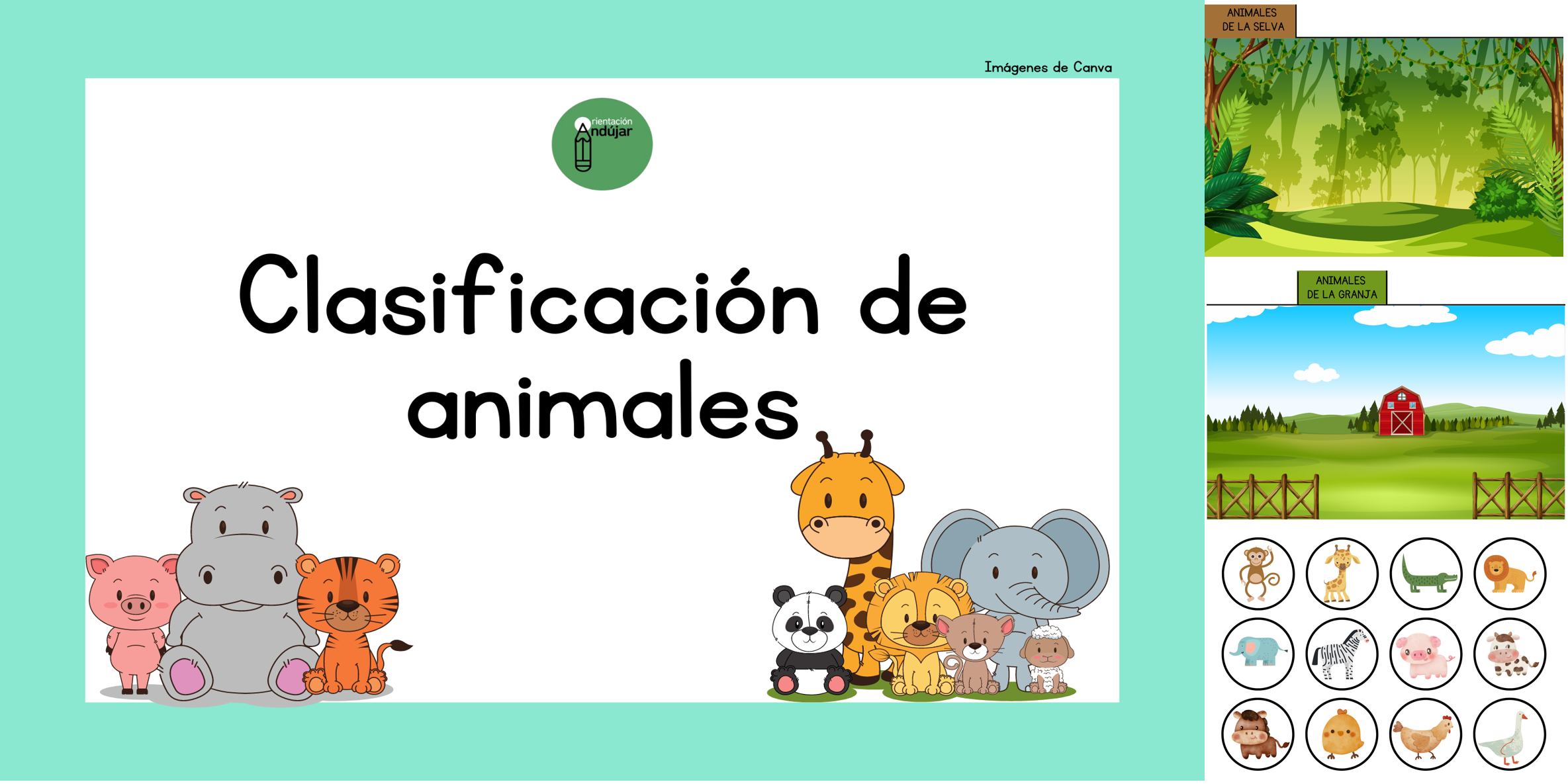 Clasificación De Animales