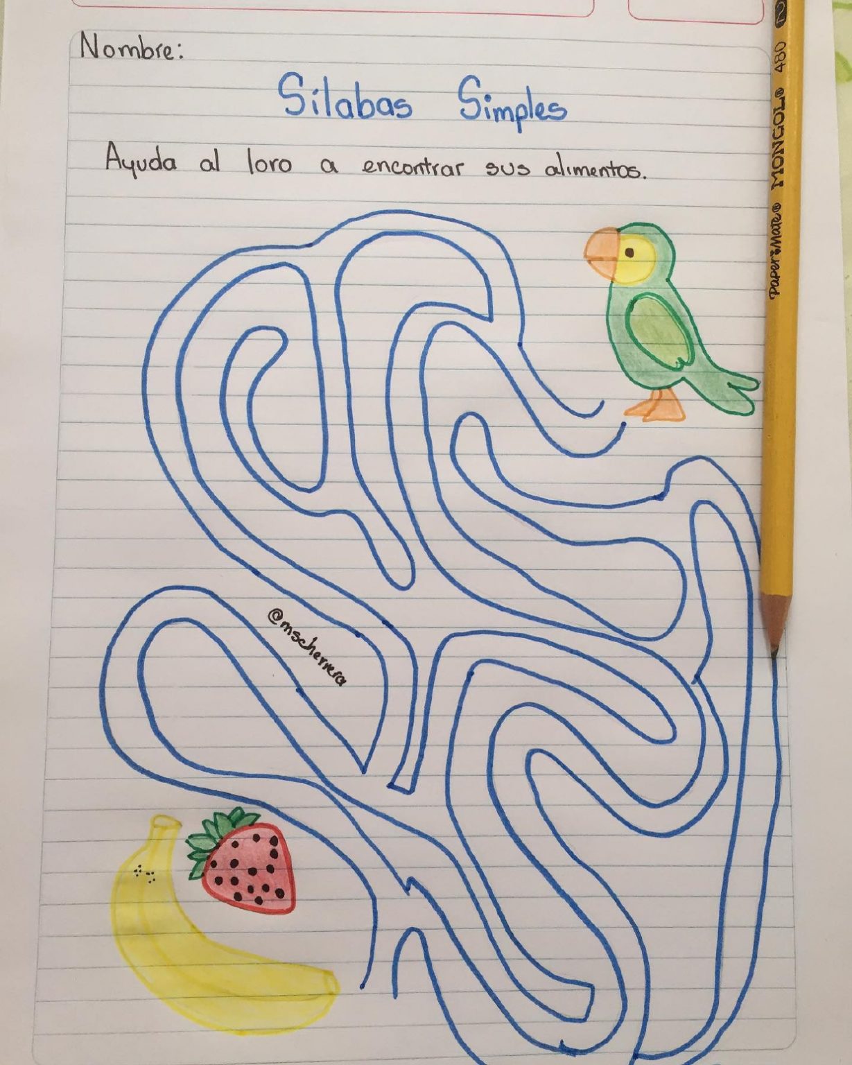 Lectoescritura Cuaderno Guía con Sílabas - Orientacion Andujar