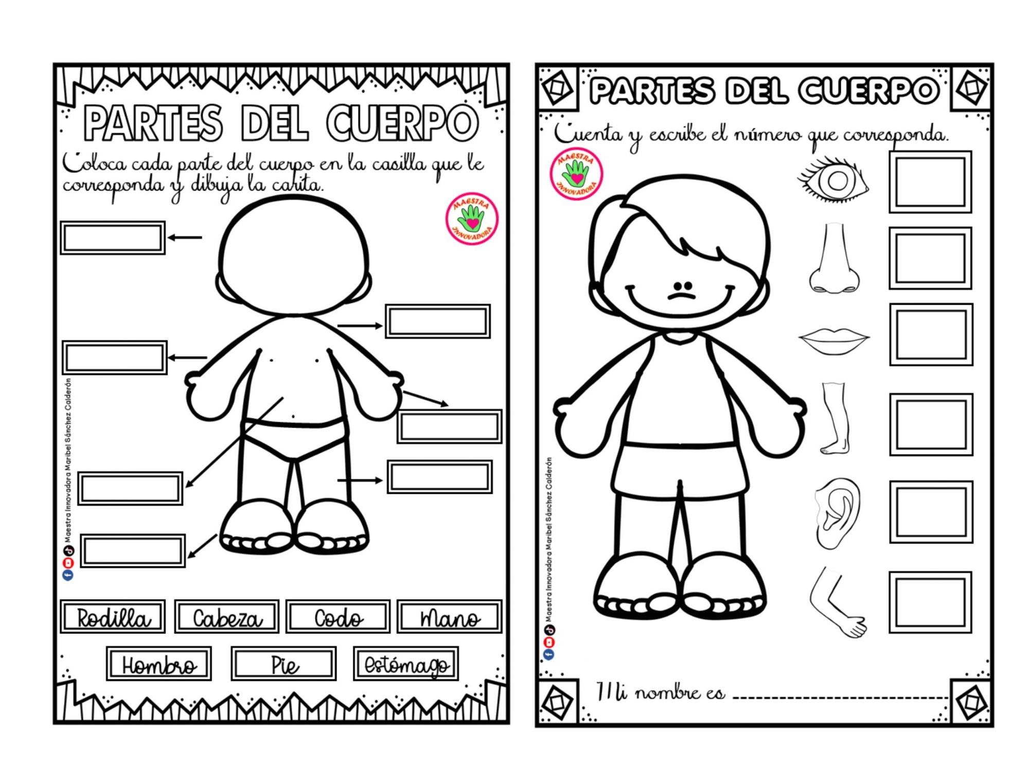 Fichas Para Trabajar El Cuerpo Humano Orientacion Andujar