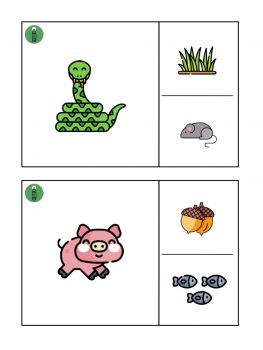 ¿Qué comen estos animales? - Orientacion Andujar