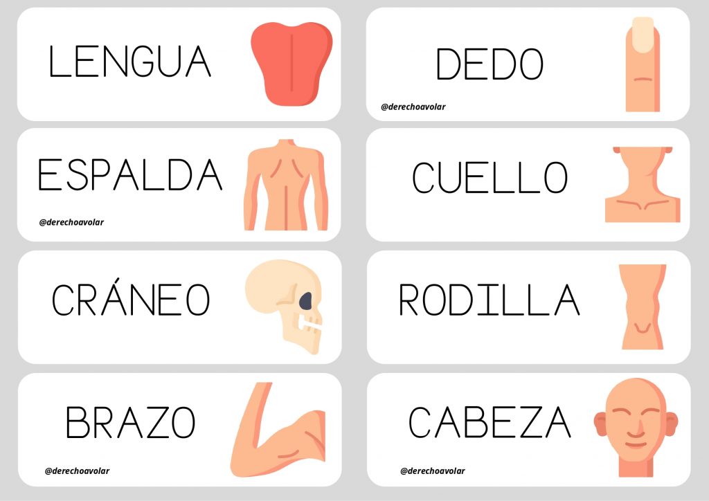 Vocabulario de las PARTES DEL CUERPO - Orientacion Andujar