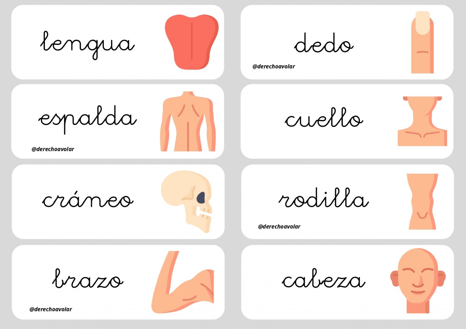 Vocabulario de las PARTES DEL CUERPO - Orientacion Andujar