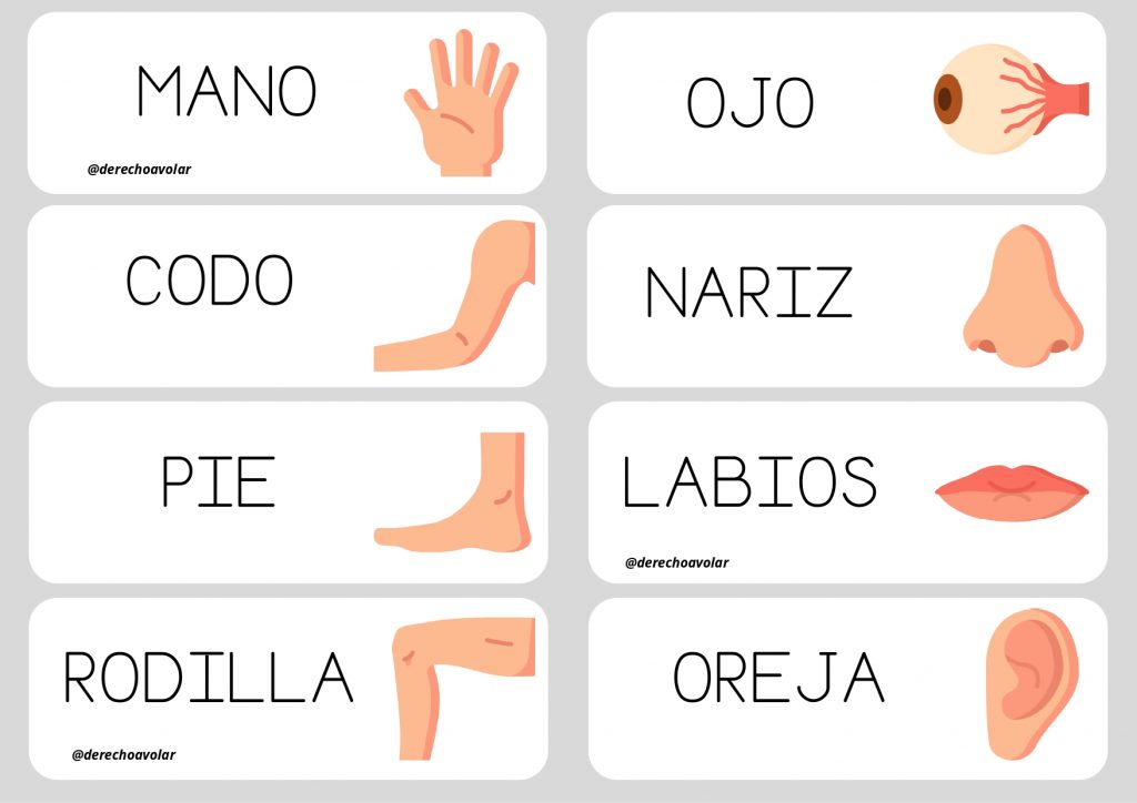 Vocabulario de las PARTES DEL CUERPO - Orientacion Andujar