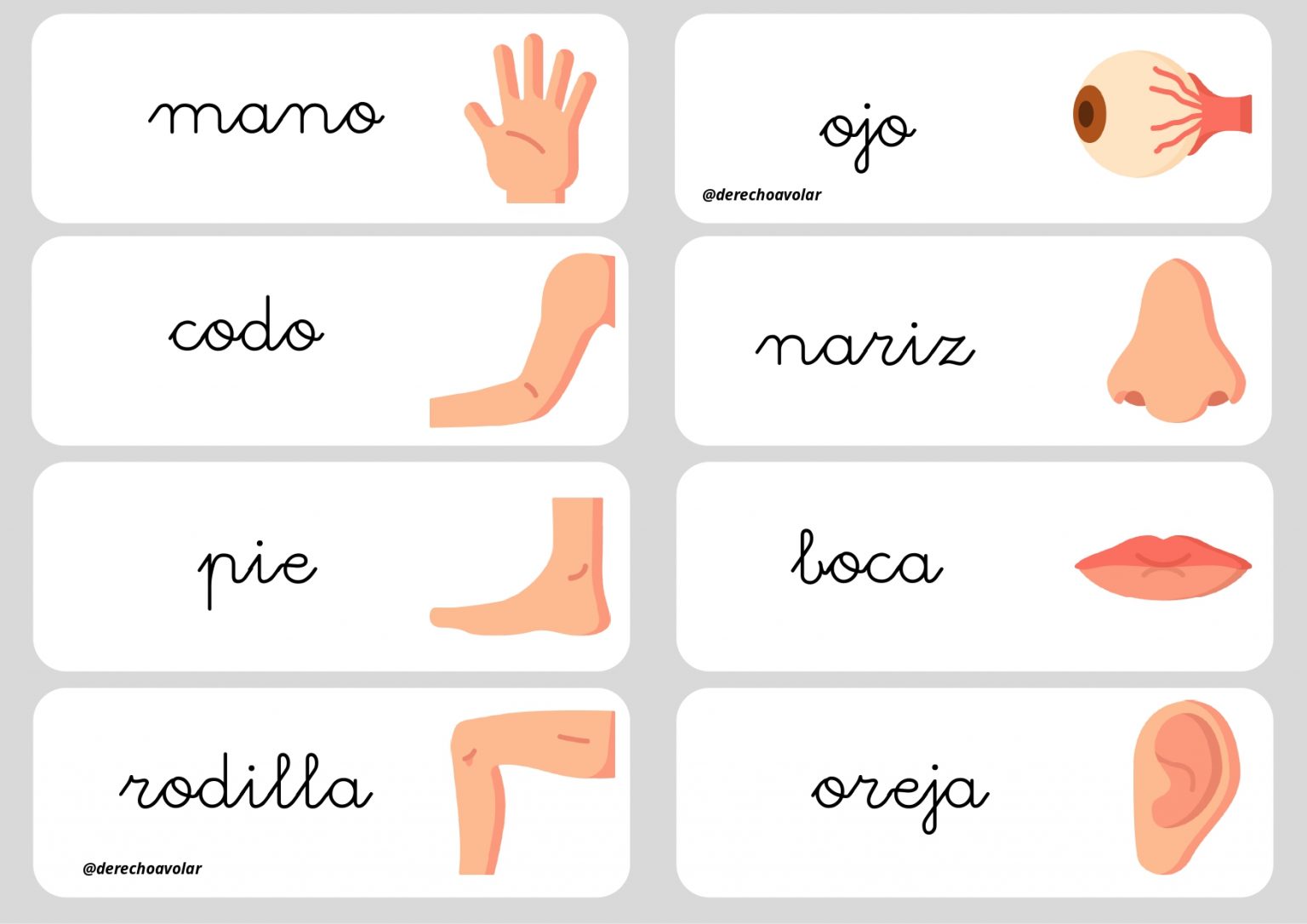 Vocabulario de las PARTES DEL CUERPO - Orientacion Andujar
