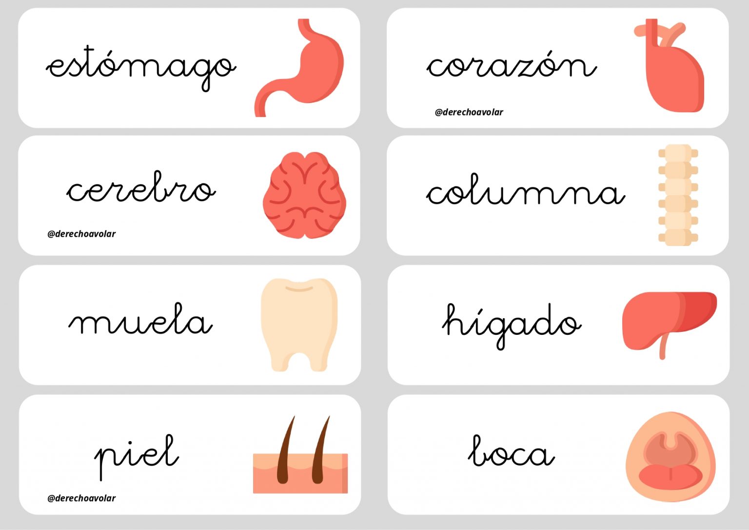 Vocabulario de las PARTES DEL CUERPO - Orientacion Andujar