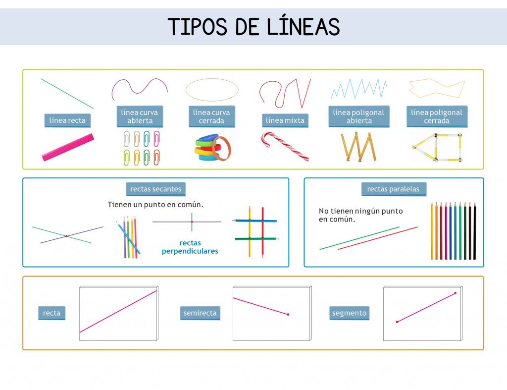 Mural matemático para primaria los tipos de lineas -Orientacion Andujar