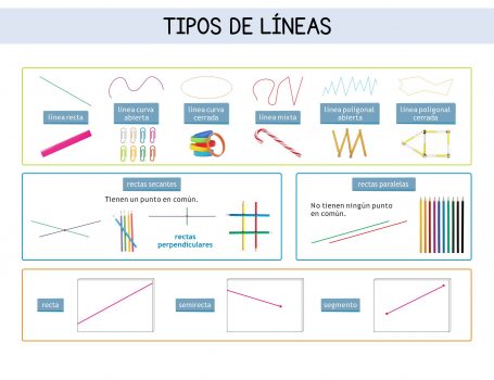 Mural matemático para primaria los tipos de lineas -Orientacion Andujar