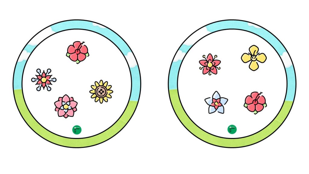 Divertido dobble para trabajar la atención con flores de la primavera ...